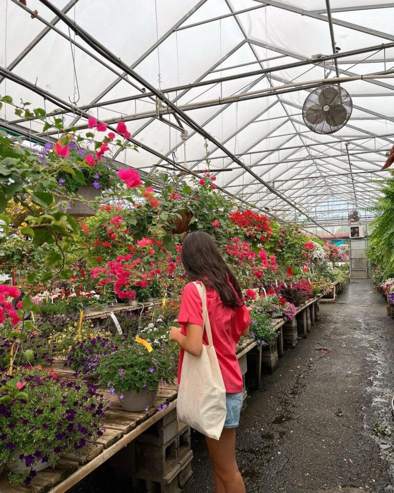 2025 AWESOME Guide to Horrocks Farm Market in Lansing