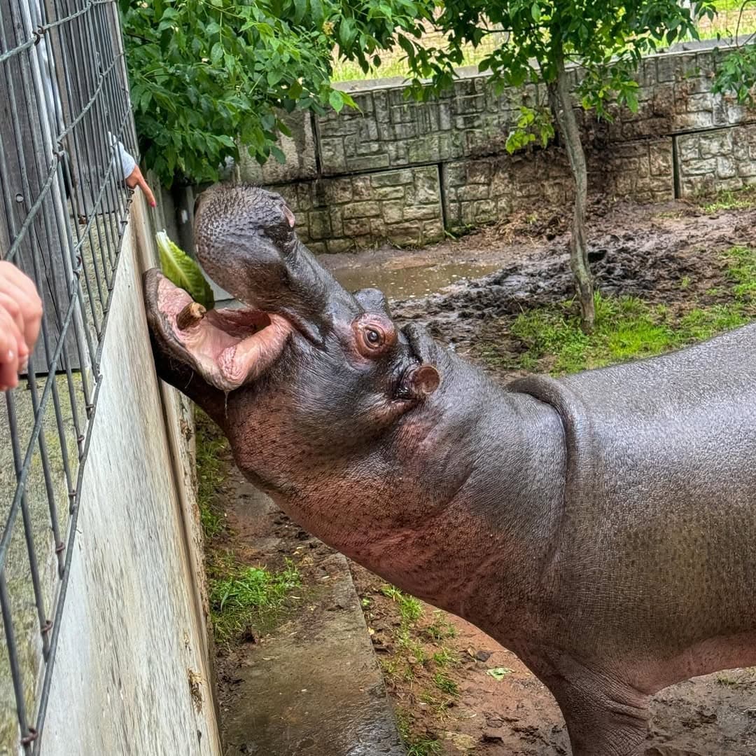 18 Amazing Aquariums & Unique Zoos to Explore in Michigan