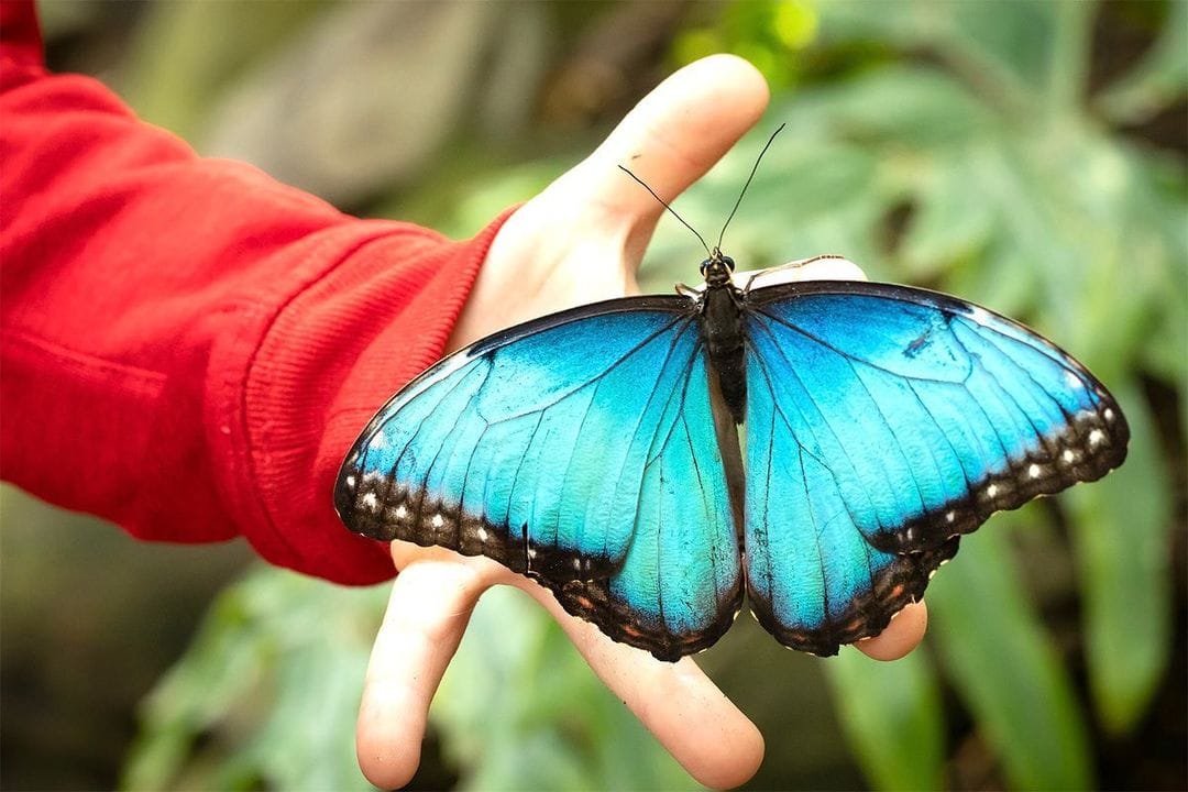 15 AWESOME Spring Things to Do in Grand Rapids Michigan