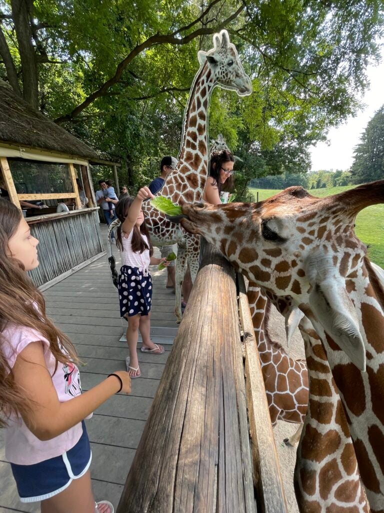 18 Amazing Aquariums & Unique Zoos to Explore in Michigan