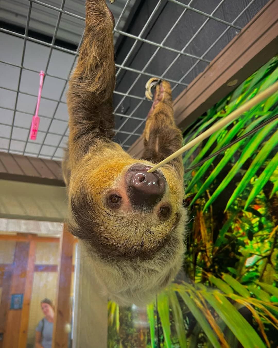 18 Amazing Aquariums & Unique Zoos to Explore in Michigan