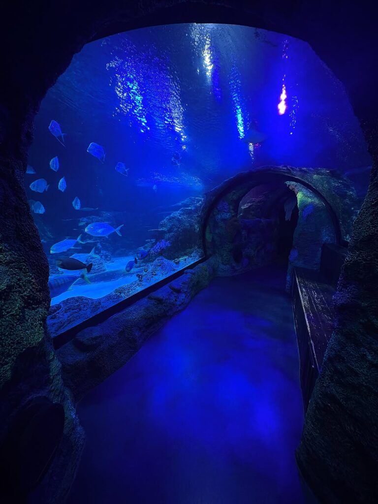 18 Amazing Aquariums & Unique Zoos to Explore in Michigan