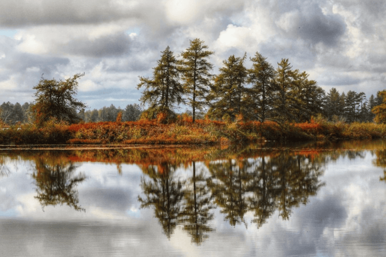 2026 AWESOME Guide to Seney National Wildlife Refuge