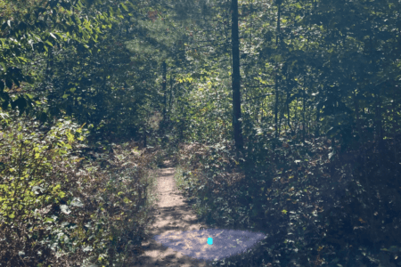 Adventure Awaits on These Awesome Traverse City Bike Trails