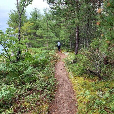 Hiking the Chapel Loop Trail: Stunning Falls, a Gravity-Defying Rock ...