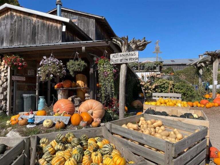 2024 Guide to Pond Hill Farm in Harbor Springs Michigan