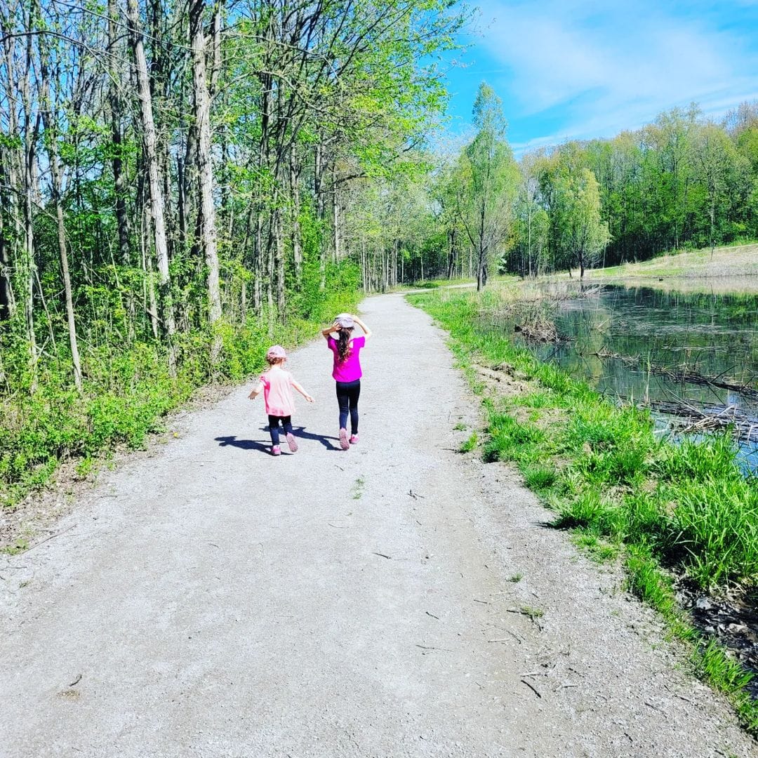 2026 AWESOME Guide of Things to Do in Auburn Hills Michigan