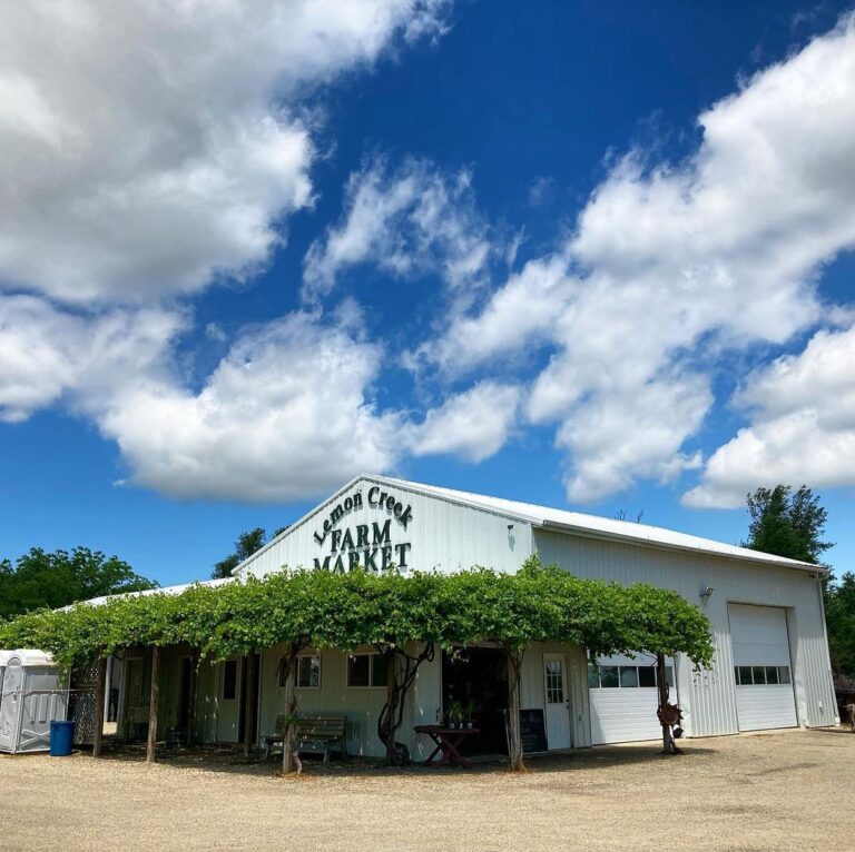 2026 AWESOME Guide to Visiting Lemon Creek Winery in SW MI