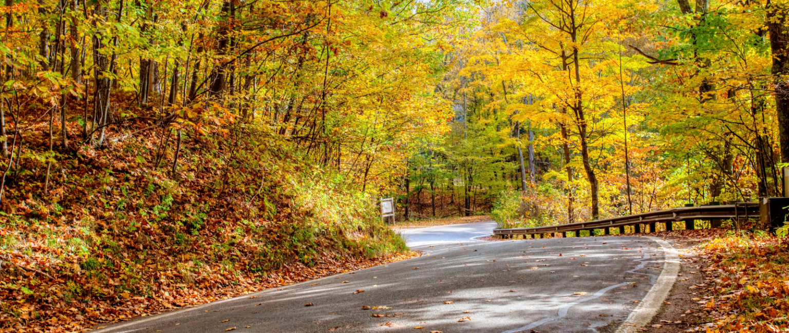 BEST Backroads for Fall Color Drives in Michigan 2026