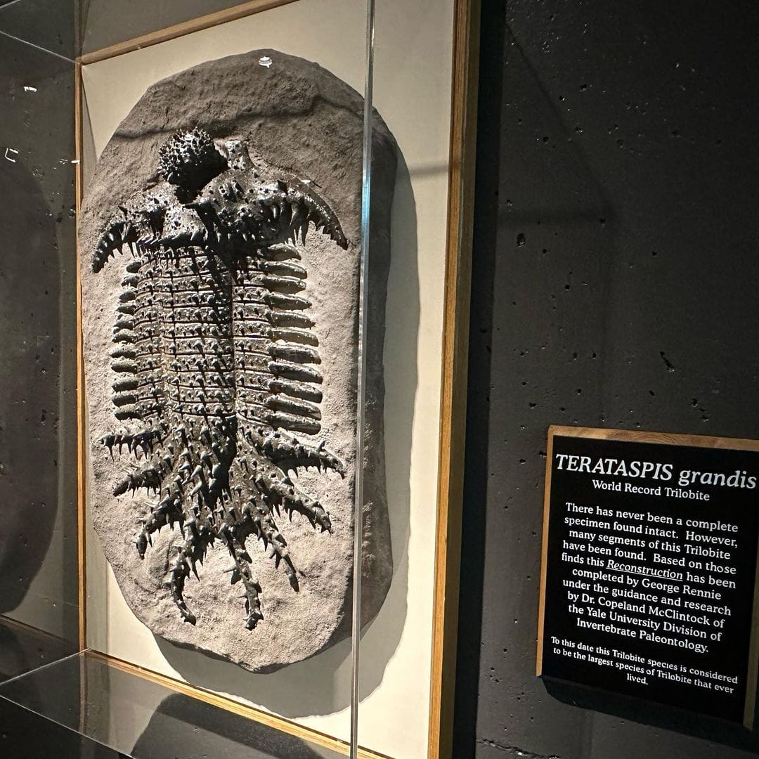 2026 GUIDE to Michigan Science Center + 6 More Museums