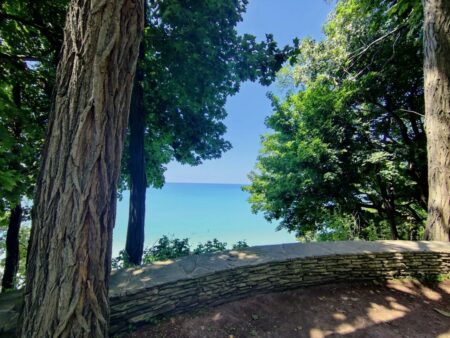 Marvel at These Michigan Giant Sequoia Trees in Manistee