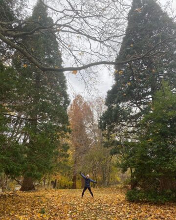 Marvel at These Michigan Giant Sequoia Trees in Manistee