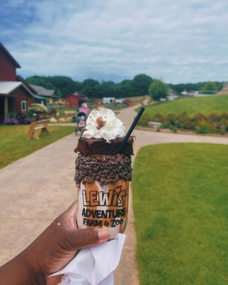 Lewis Adventure Farm and Zoo | A Fun Family Day in New Era