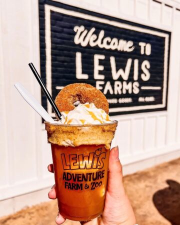 Lewis Adventure Farm and Zoo | A Fun Family Day in New Era
