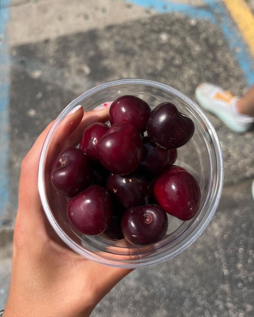 11 BEST Michigan Snacks for Any Road Trip