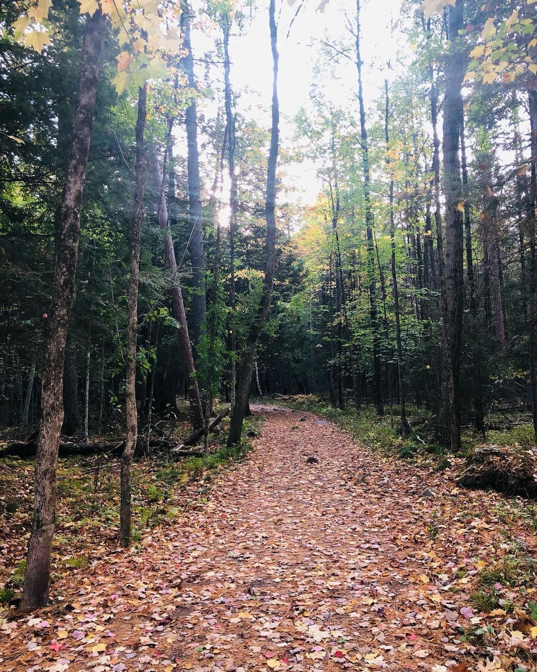 2025 ULTIMATE Travel Guide to Norway Michigan