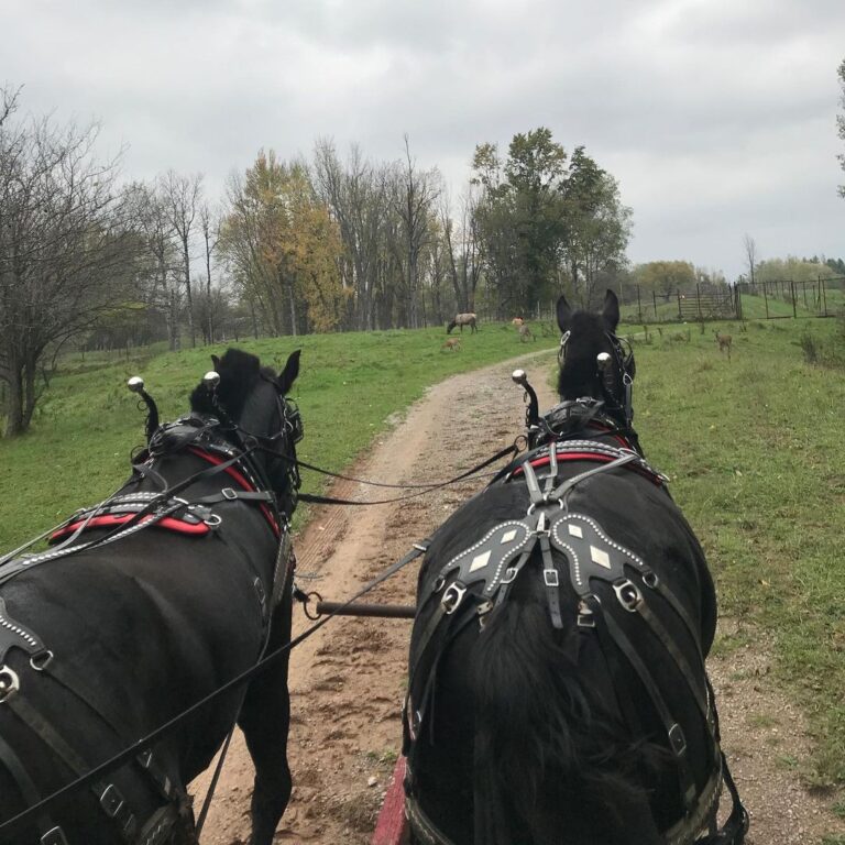 13 Best Uniquely Michigan Experience Gifts for 2026