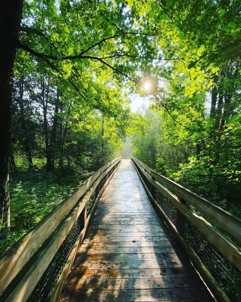 15 Michigan Towns on the North Country Trail (NCT)