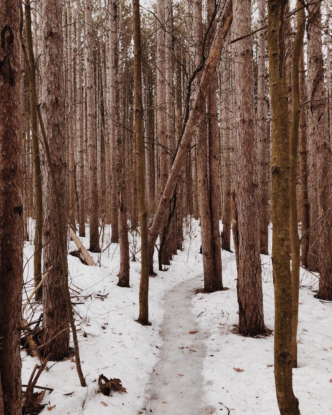 15 Michigan Towns on the North Country Trail (NCT)