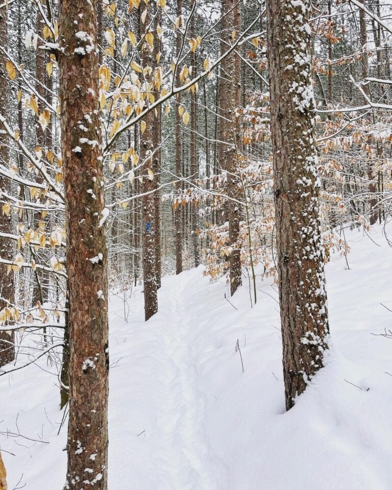 15 Michigan Towns on the North Country Trail (NCT)