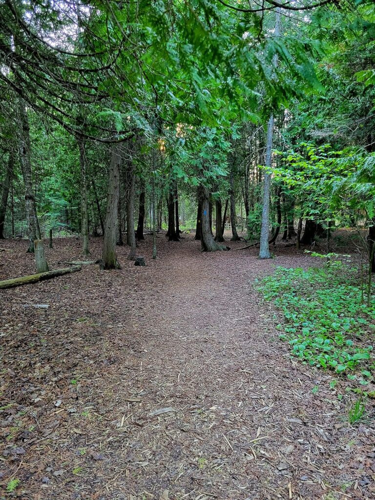 15 Michigan Towns on the North Country Trail (NCT)