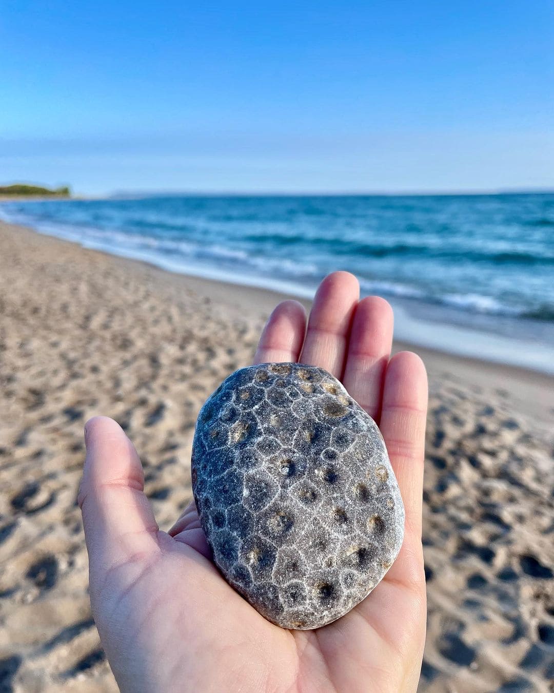 7 Summer Day Trips in Michigan Where the Fun Is Free (Except Gas + Snacks)