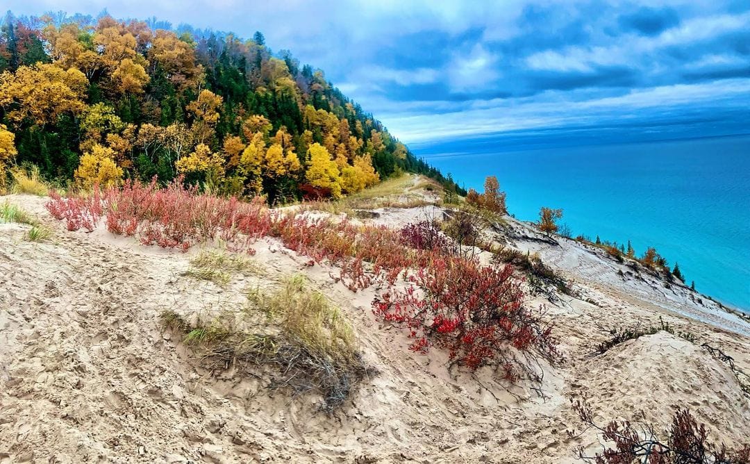 Fresh Coast Wonders: Discover Sand Dunes in Michigan