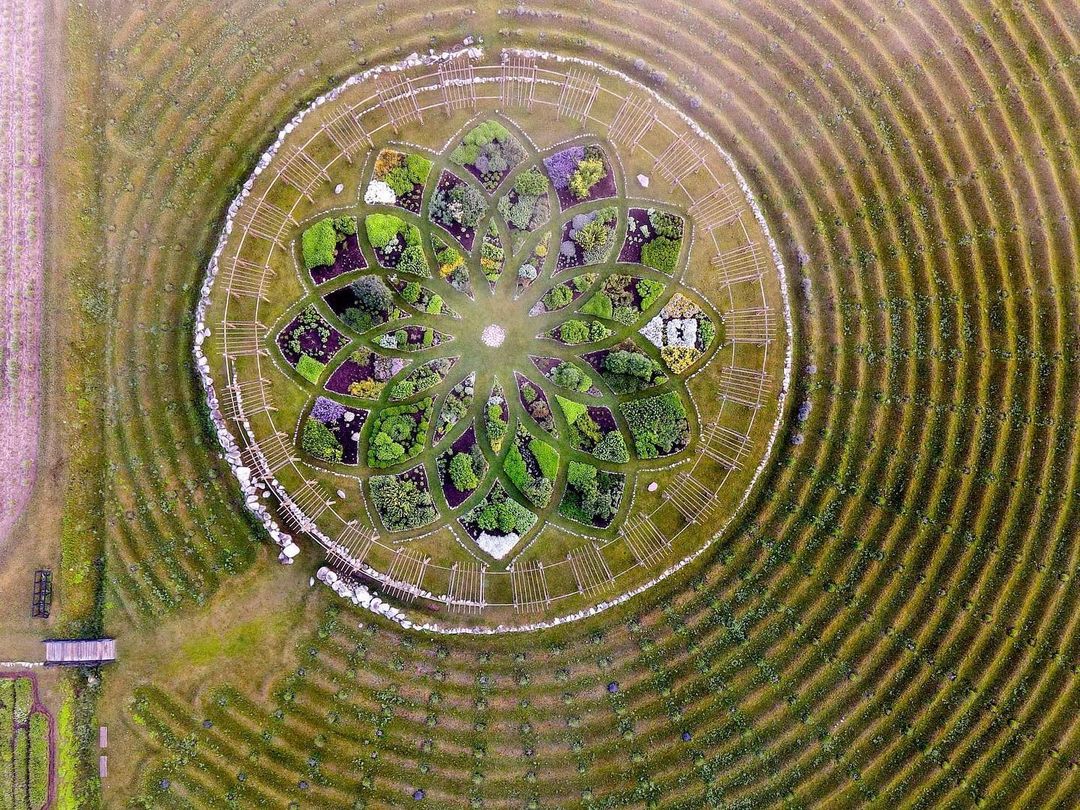 Find Serenity at These 20+ Lavender Farms in Michigan
