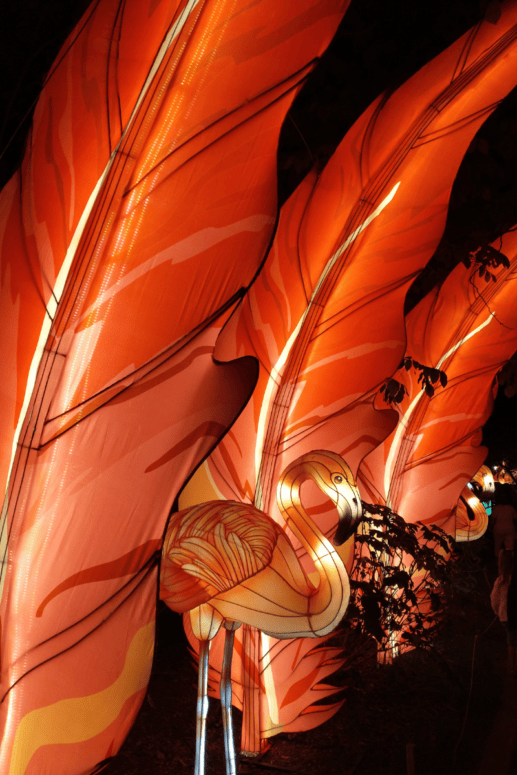 2024 GUIDE to Grand Rapids Lantern Festival at John Ball Zoo