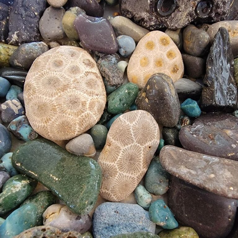 2026 Michigan Rock Hounding Guide: Petoskey Stones, Agates, Yooperlites ...