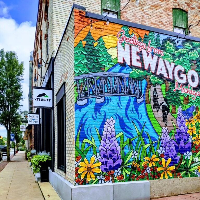 Discover Newaygo: A Hidden Gem on the Banks of the Muskegon River