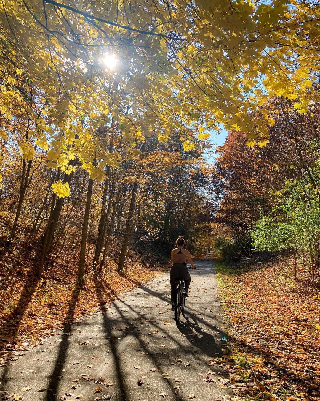 Awesome Mitten's Guide to the Best Things to Do in Cadillac Michigan