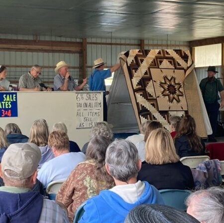 Amidst the Amish in Michigan: Discover the Unique Culture & Communities