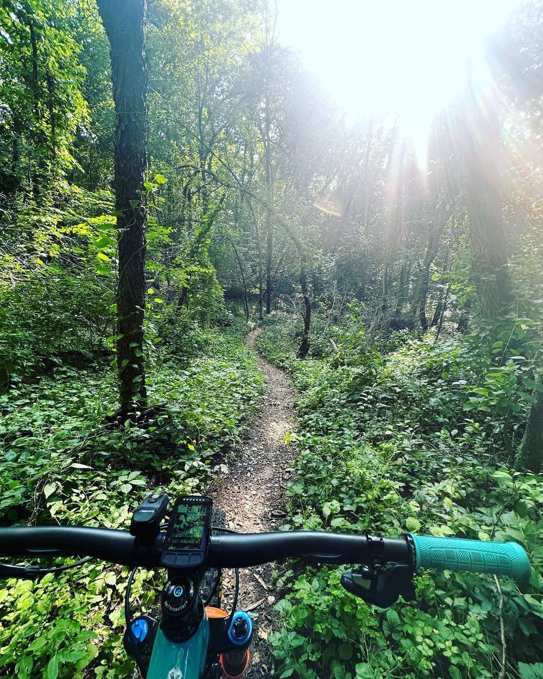 Road Trip Through the Scenic "Up North" of SE Michigan in the Brighton ...