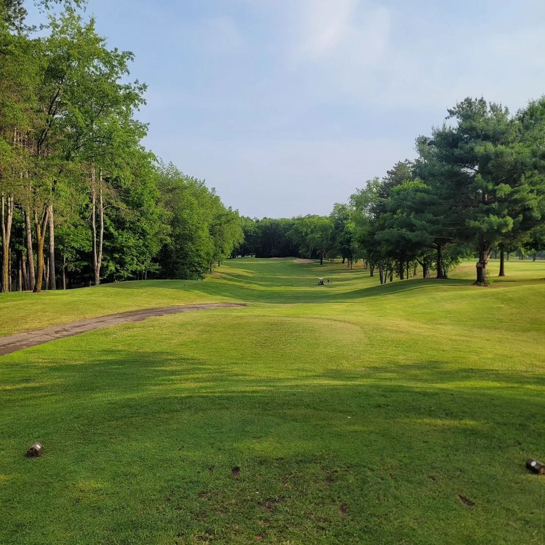 Discover the Charm of Cassopolis: A Hidden Gem in Southwest Michigan