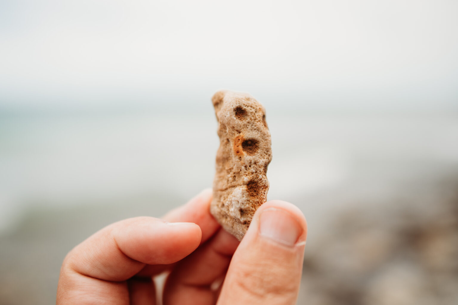 Go on a Fossil Hunting Expedition at Rockport Recreation Area