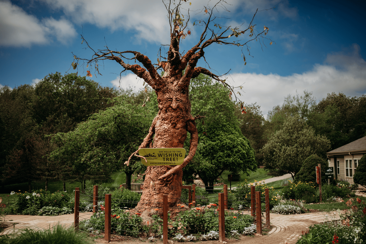 Explore Beautiful Parks & Charming Downtowns in the Brighton Howell Area