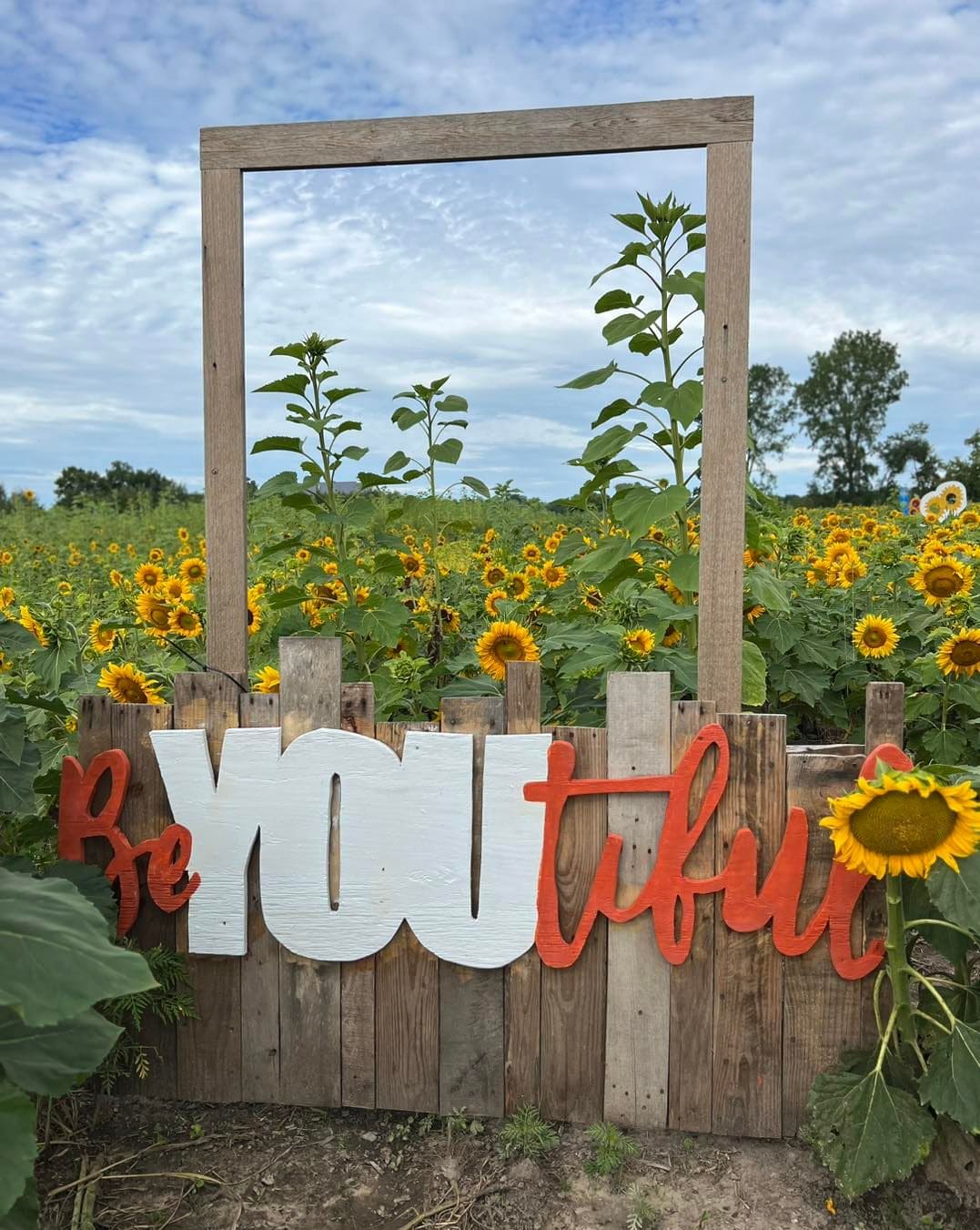 Soak Up the Scenery at These Incredible Sunflower Fields in Michigan