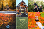 Enjoy Uniquely Michigan Fall Fun With These 13 Autumn Activities