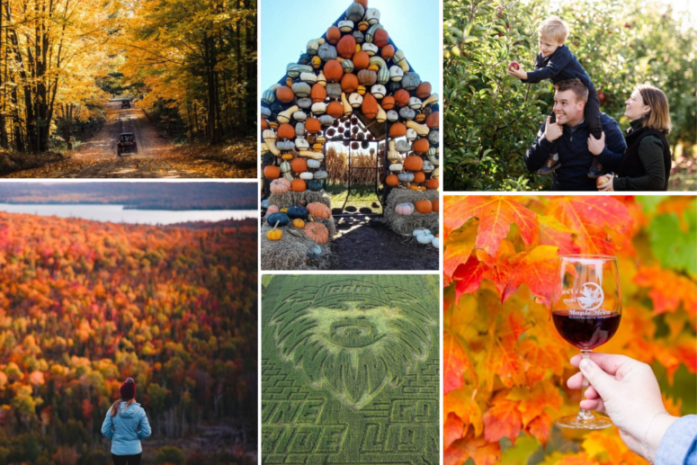 Enjoy Uniquely Michigan Fall Fun With These 13 Autumn Activities