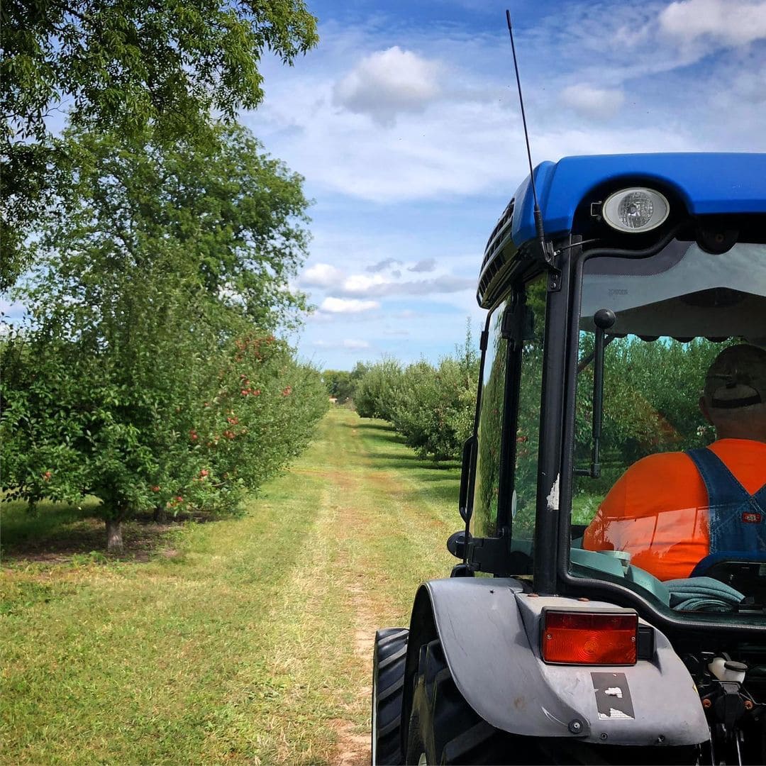 Where are the Best U-Pick Apple Orchards in Michigan?