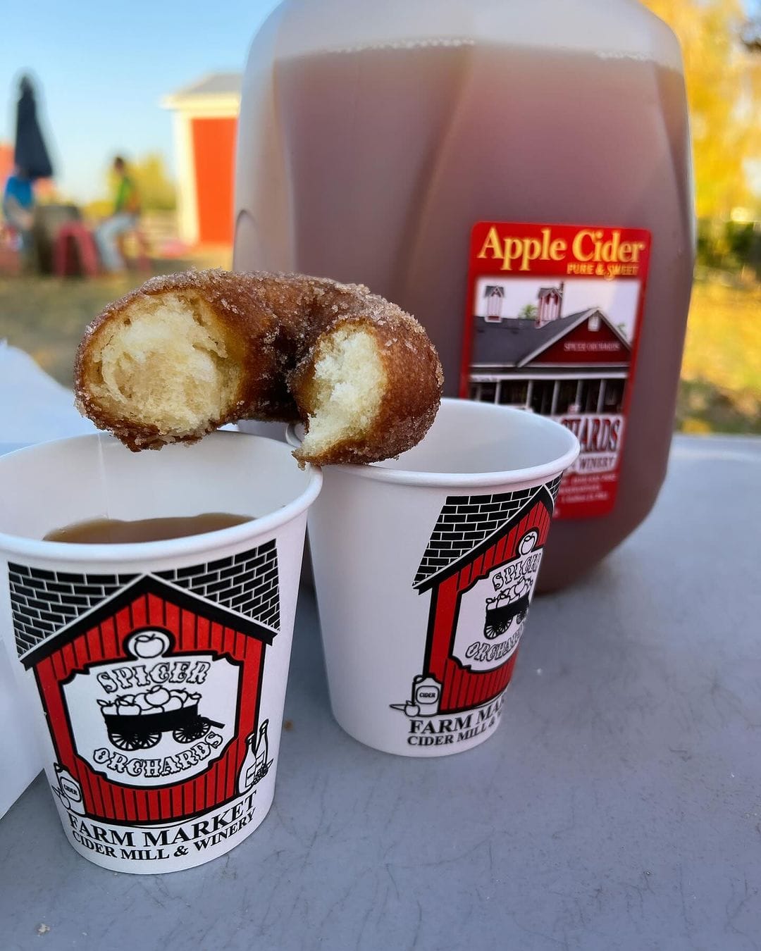 11 Amazing Michigan Cider Mills & Apple Orchards in East Michigan