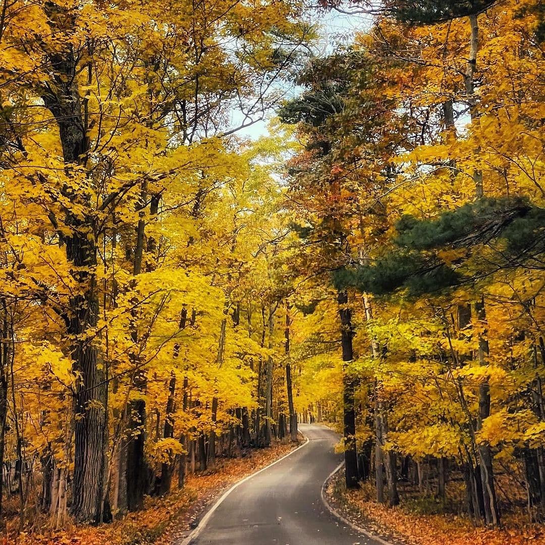 7 Michigan Road Trips to Bookmark for 2026