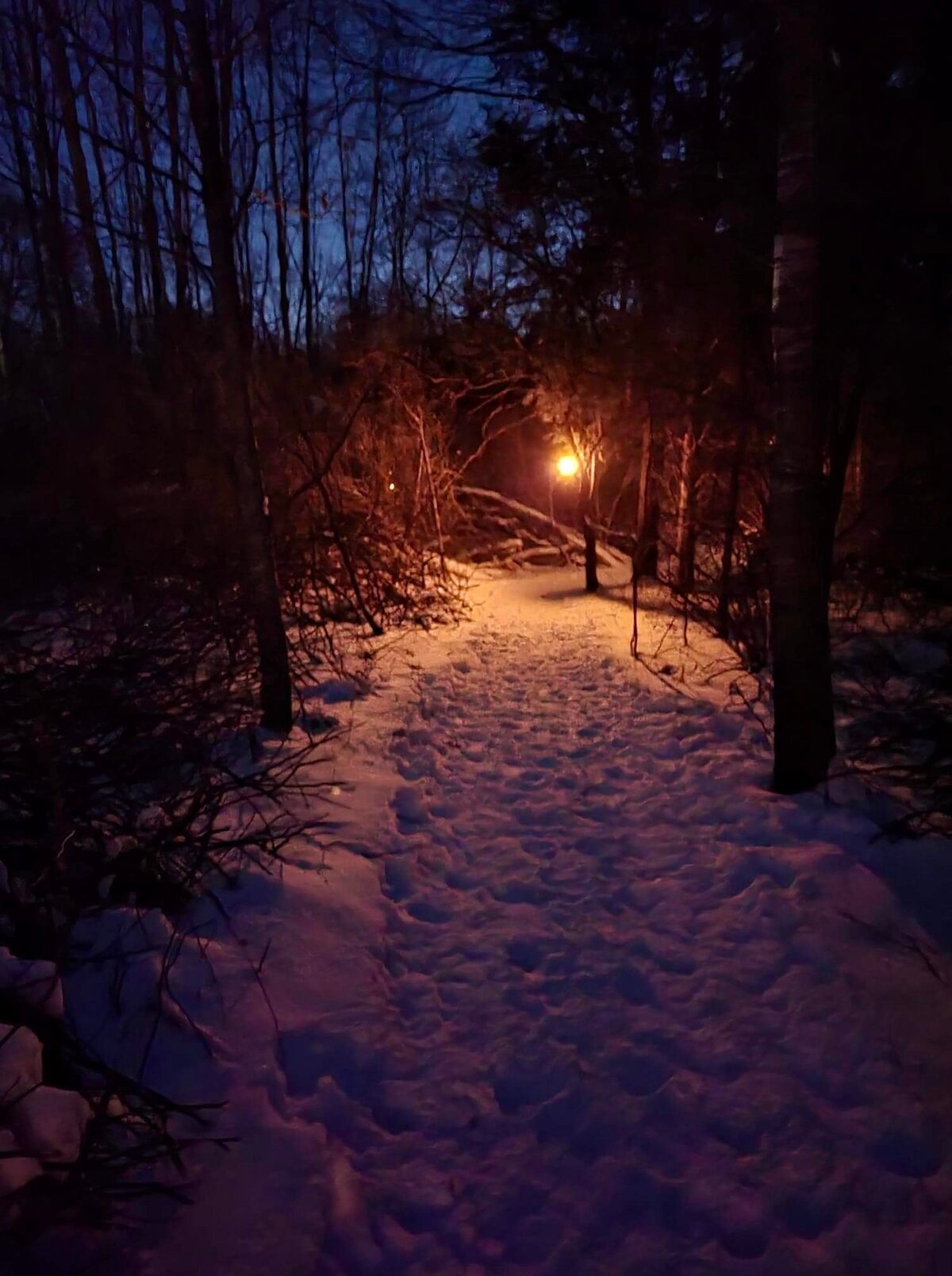The Best Lantern Lit Hikes in Michigan This Winter