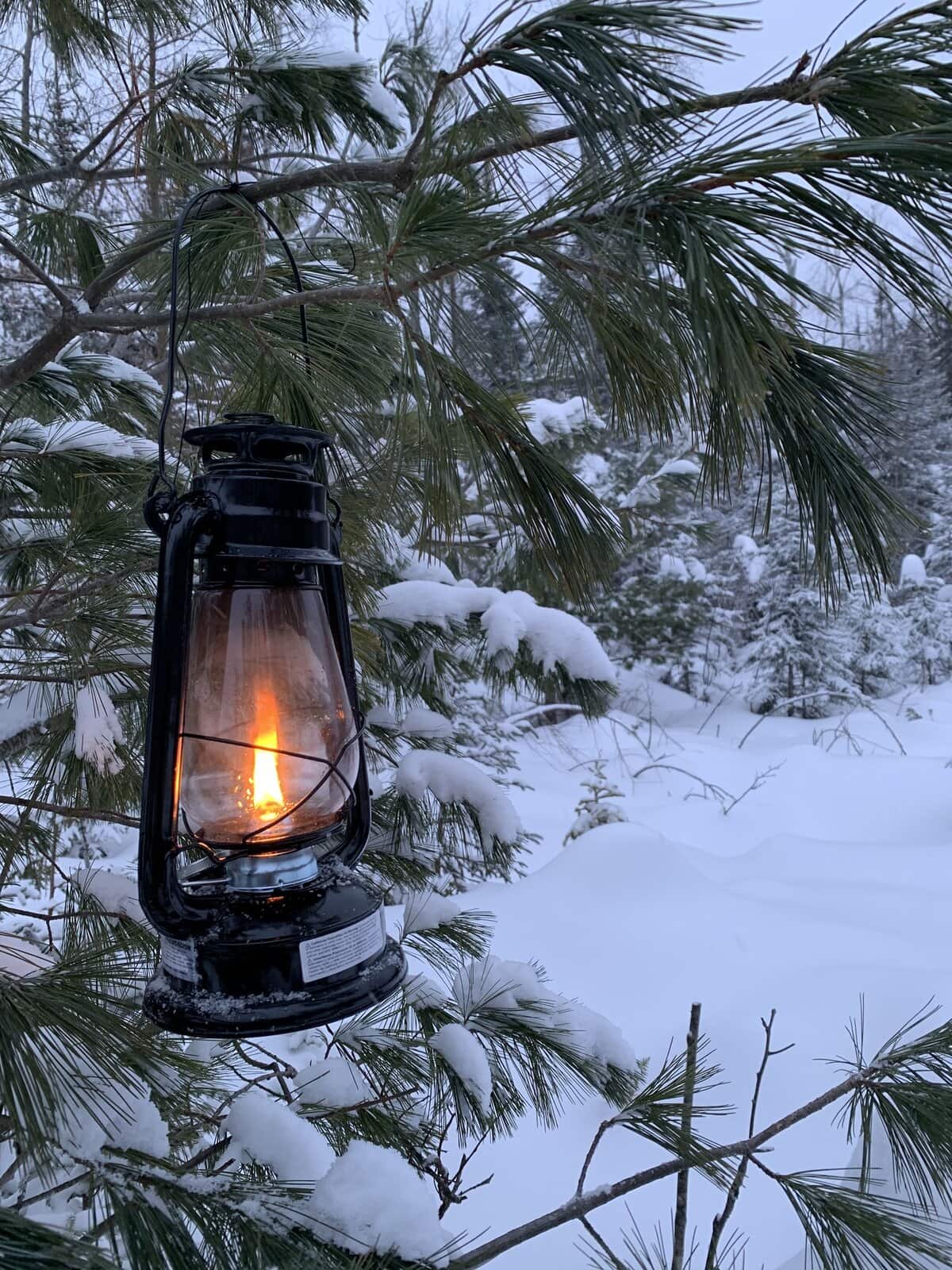 The Best Lantern Lit Hikes in Michigan This Winter