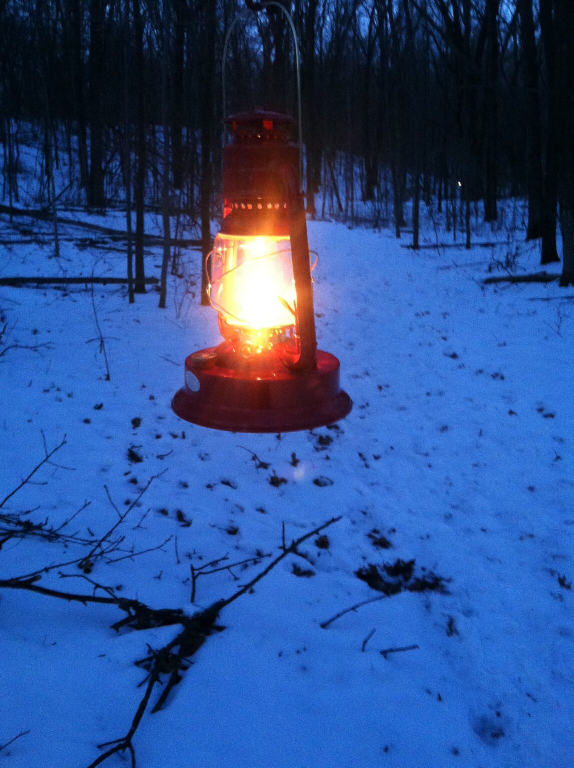The Best Lantern Lit Hikes in Michigan This Winter